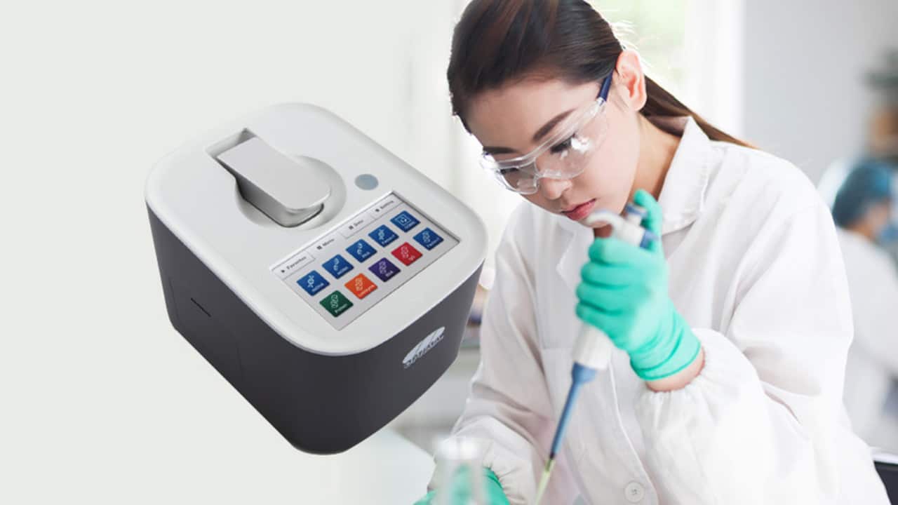 OPTIMA - International Pavilion